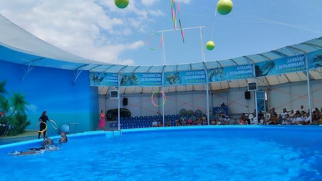 Дельфинарий_13