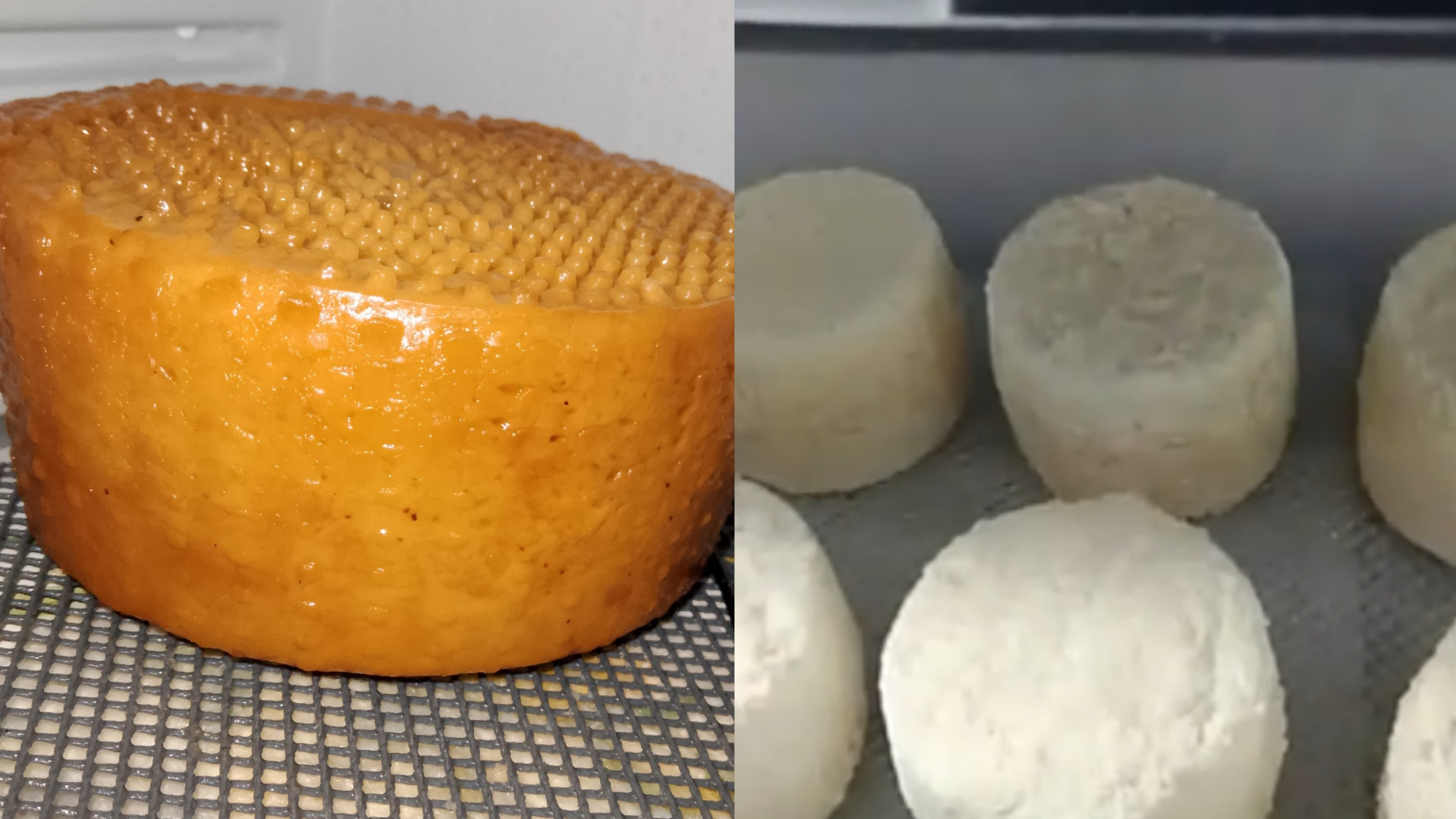 СРАЗУ  ДВА  ВИДА, 14  ГОЛОВОК  СЫРА