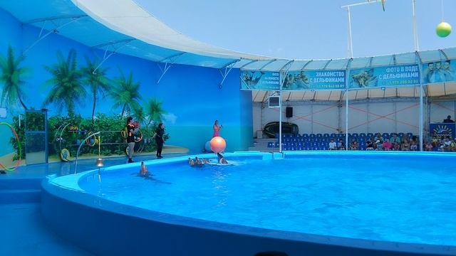 Дельфинарий_09