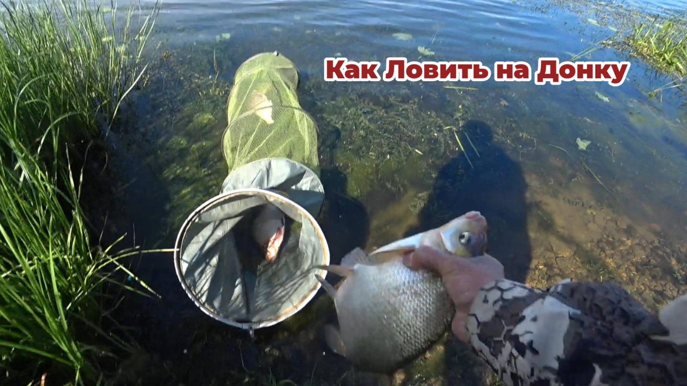 Снасть на Леща Которая Ловит! Рыбалка на Донки на Оке 2025! Для Начинающих