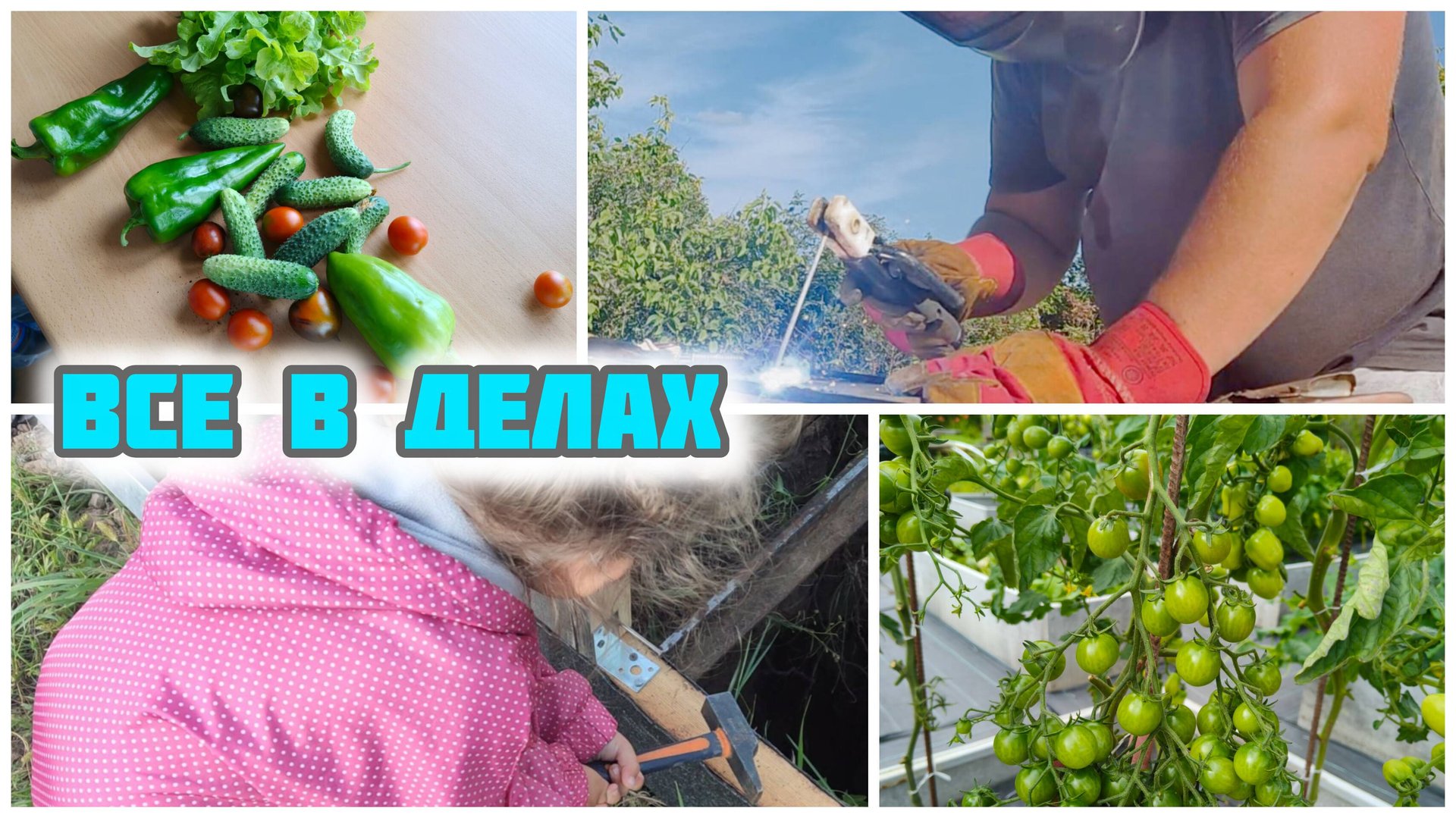 Заготовки на зиму - 71 серия