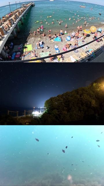 Сочи Лазаревское Чемитоквадже