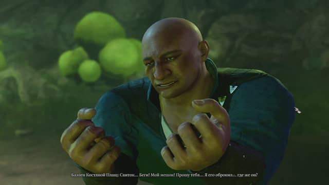 Baldurs gate 3 #16 (Гномы ботаники)