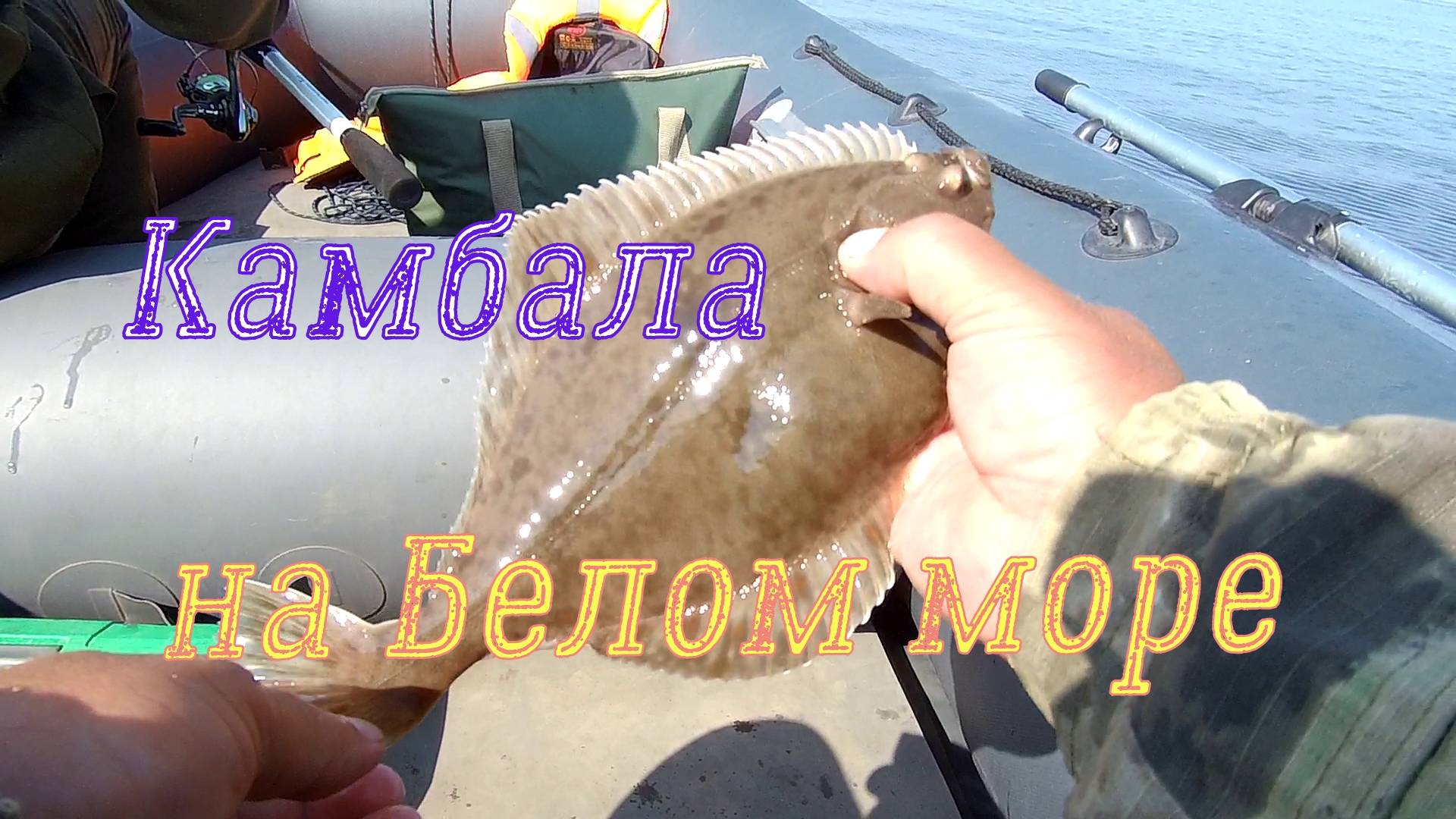 И вновь за камбалой/ Новый ароматизатор