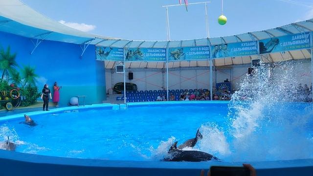 Дельфинарий_07