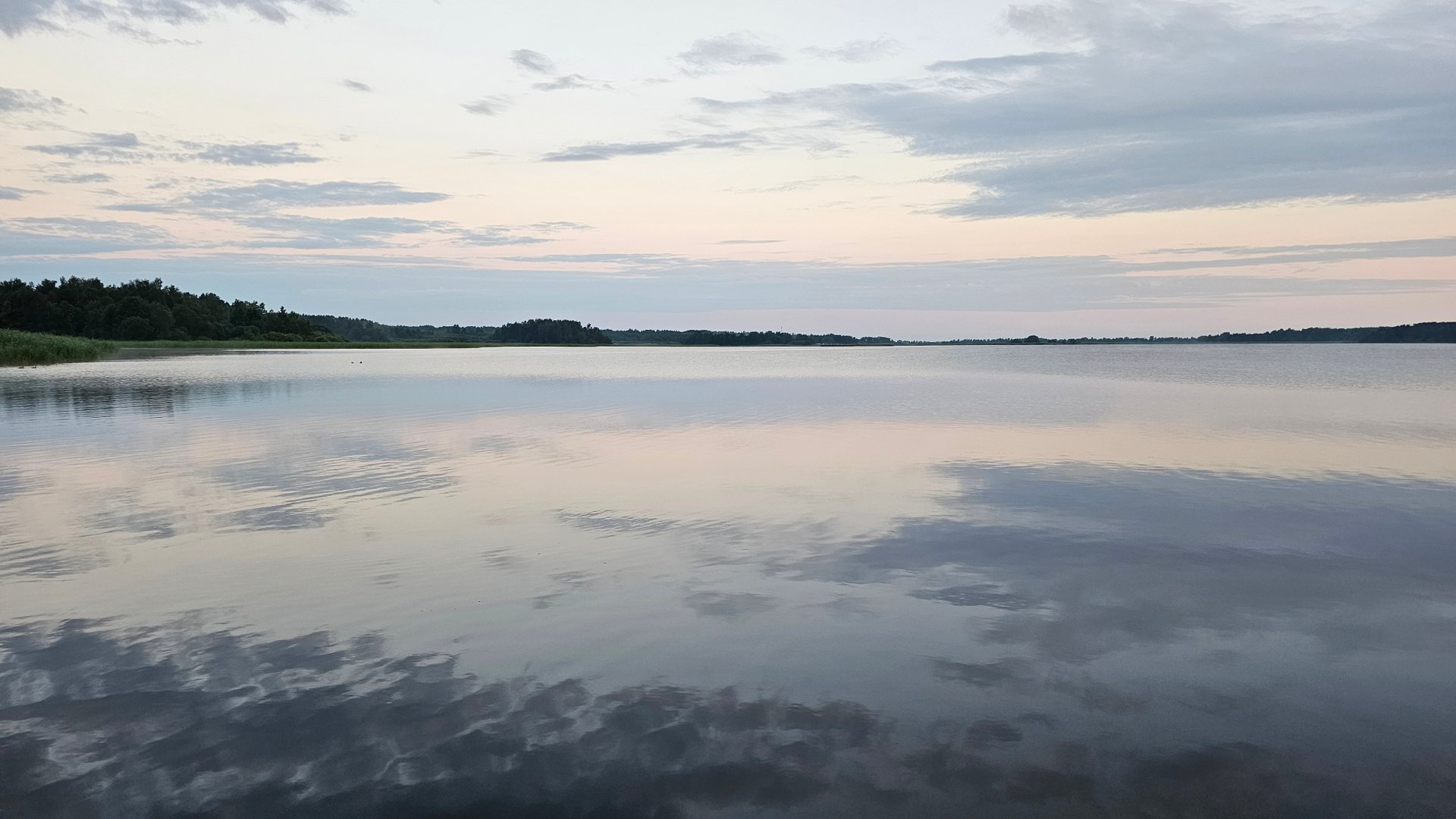 Херабуна на Чудском озере 2025