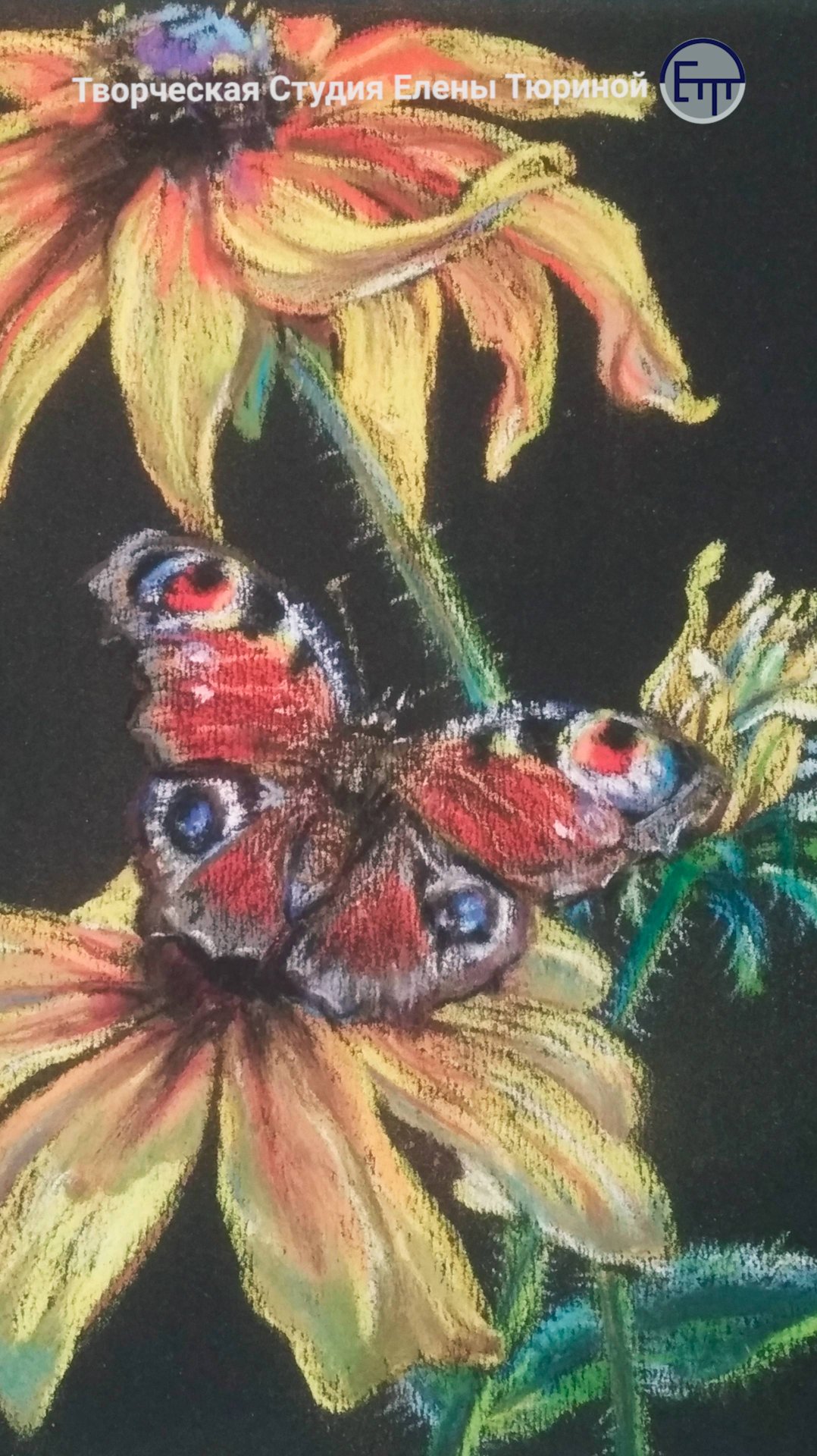 Бабочка Павлиний глаз пастелью #shorts #бабочка #пастелью #павлинийглаз #рудбекия #рисование