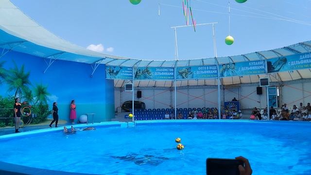 Дельфинарий_08