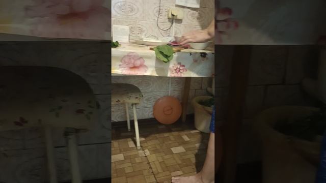 Баба Нина режит  щавель video_20250727_132400