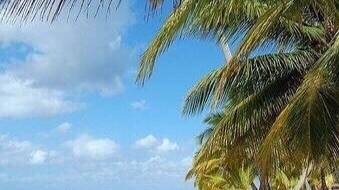 АВГУСТ--ДЕВА(таро)