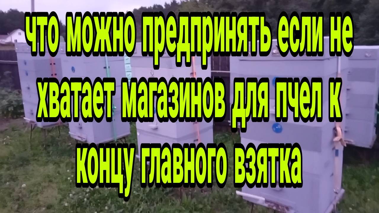 что можно предпринять если не хватает магазинов для пчёл к концу главного взятка