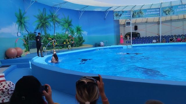 Дельфинарий_06