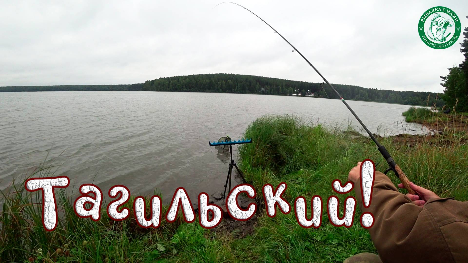 ВСЮ НОЧЬ ИДЁТ ДОЖДЬ, А МЫ НА РЫБАЛКЕ, ЛОВИМ РЫБУ! ПОДЛЕЩИК, КАРАСЬ, ОКУНЬ, СОРОГА, РЫБАЛКА НА ФИДЕР!