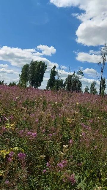 Юрич в лесу!)