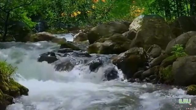 Истории из жизни|Час, прописанный свыше|Аудио рассказы|Аудиокниги слушать онлайн|Жизненные истории