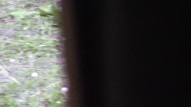 Муромцево 27 июля 2025г Гроза и град