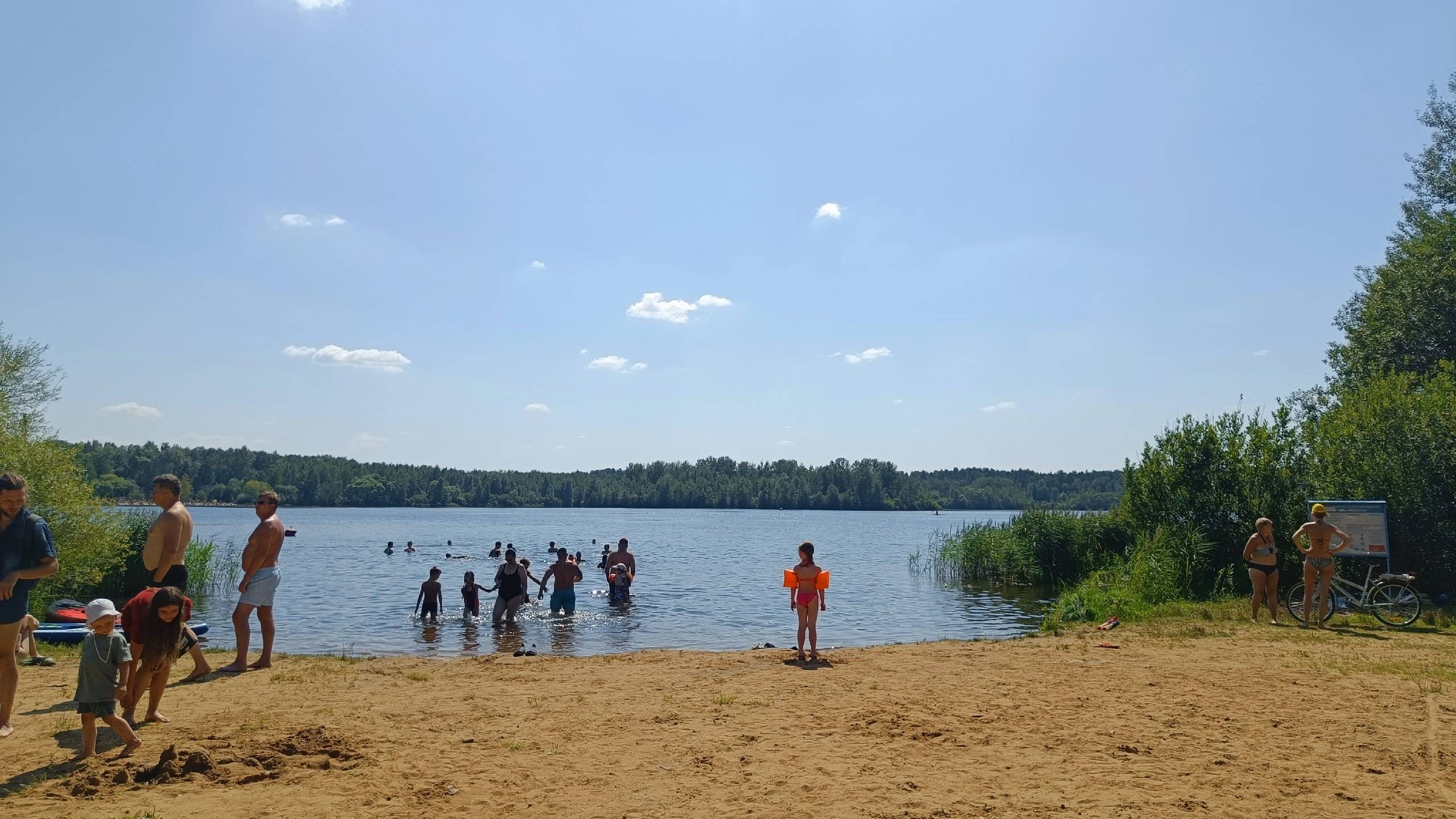 Июль 2025: озеро Большое, Фрязино