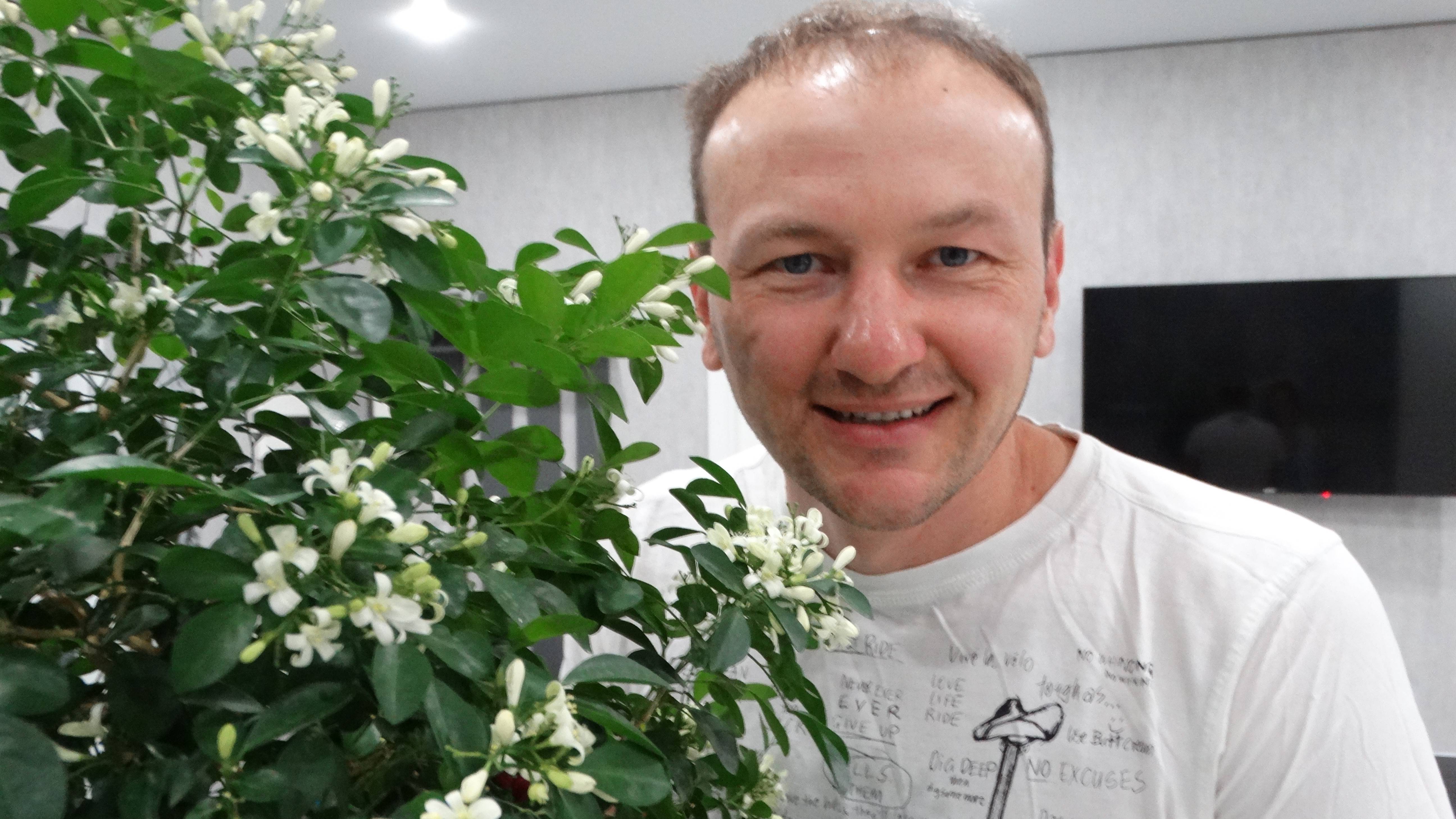 Обзор моей муррайи, которой больше 10 лет