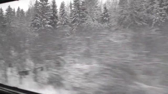 Санкт-Петербург – Псков. Поезд № 223.