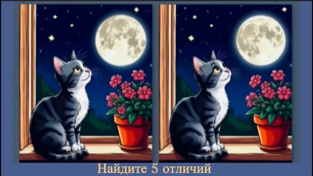 Тест на проверку внимания: найдите 5 отличий