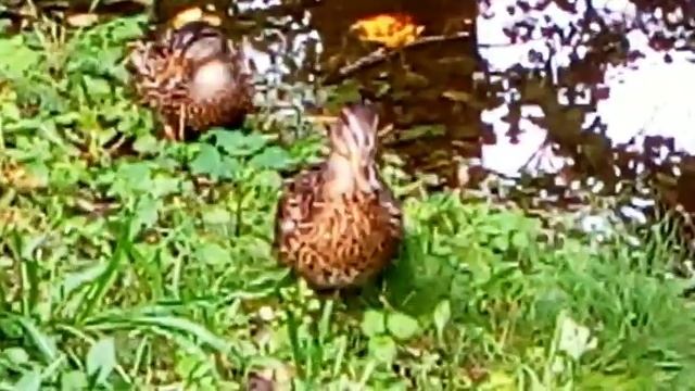 2022-02-10_480p_7063180880755363073