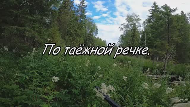 По таёжной речке.