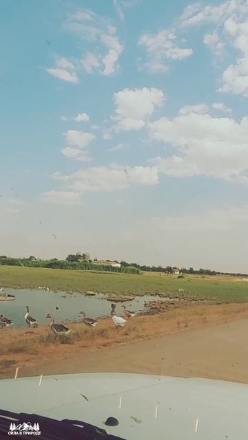 Автопутешествие Поиск новых рыболовных мест