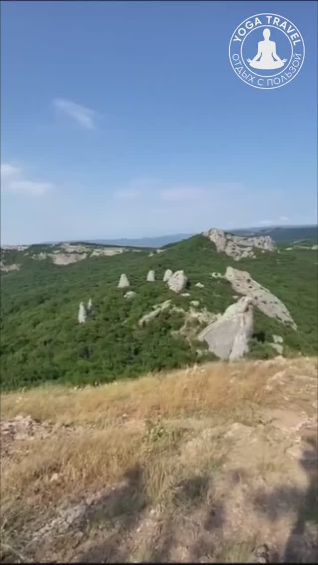 Вязовая роща глазами наших путешественников — Йога Тревел