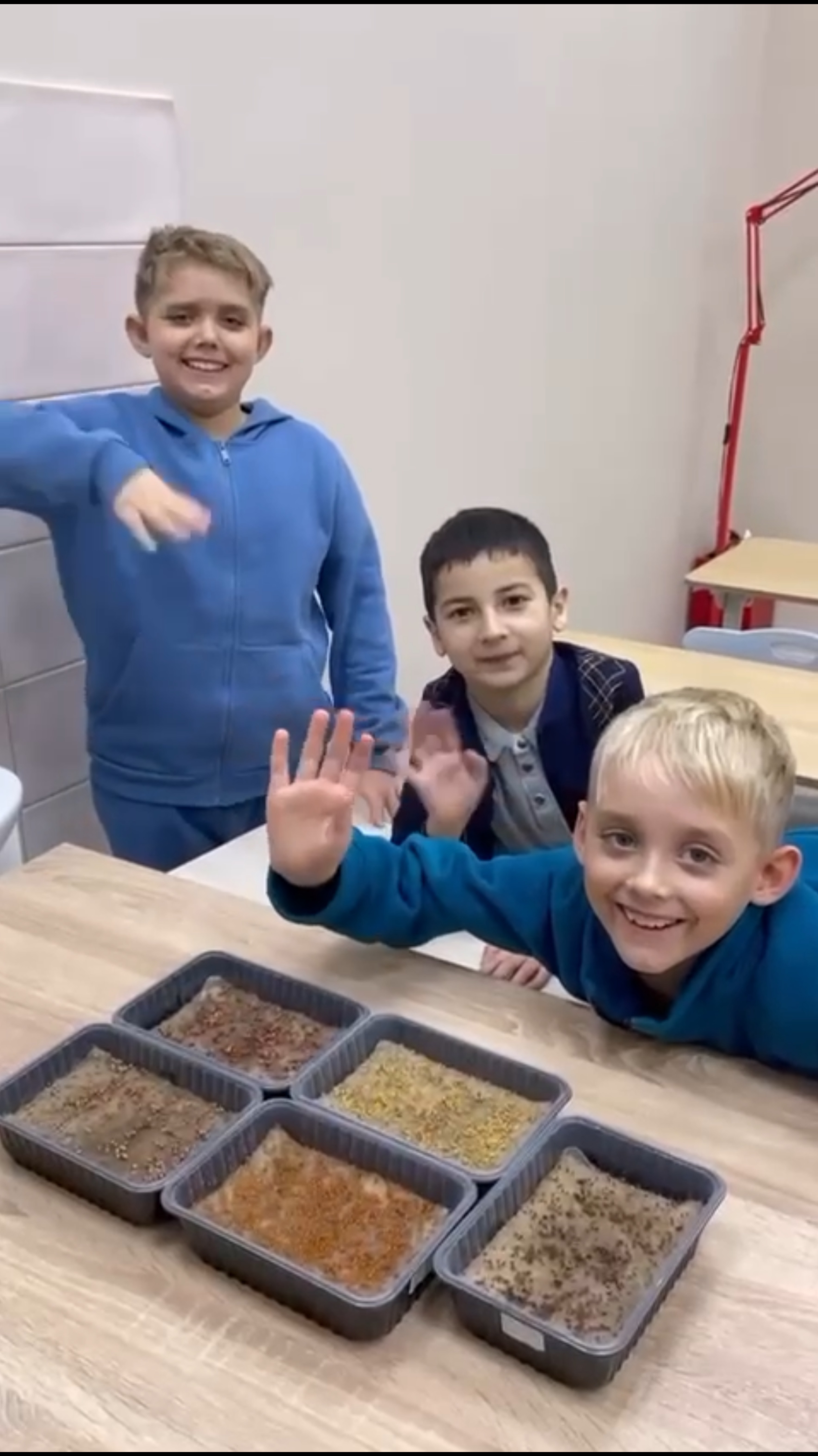 Выращивание микрозелени