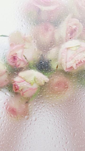 Дождь, Цветы и Спокойная Музыка | Расслабление и Глубокий Сон 🌧️🌸🌧️