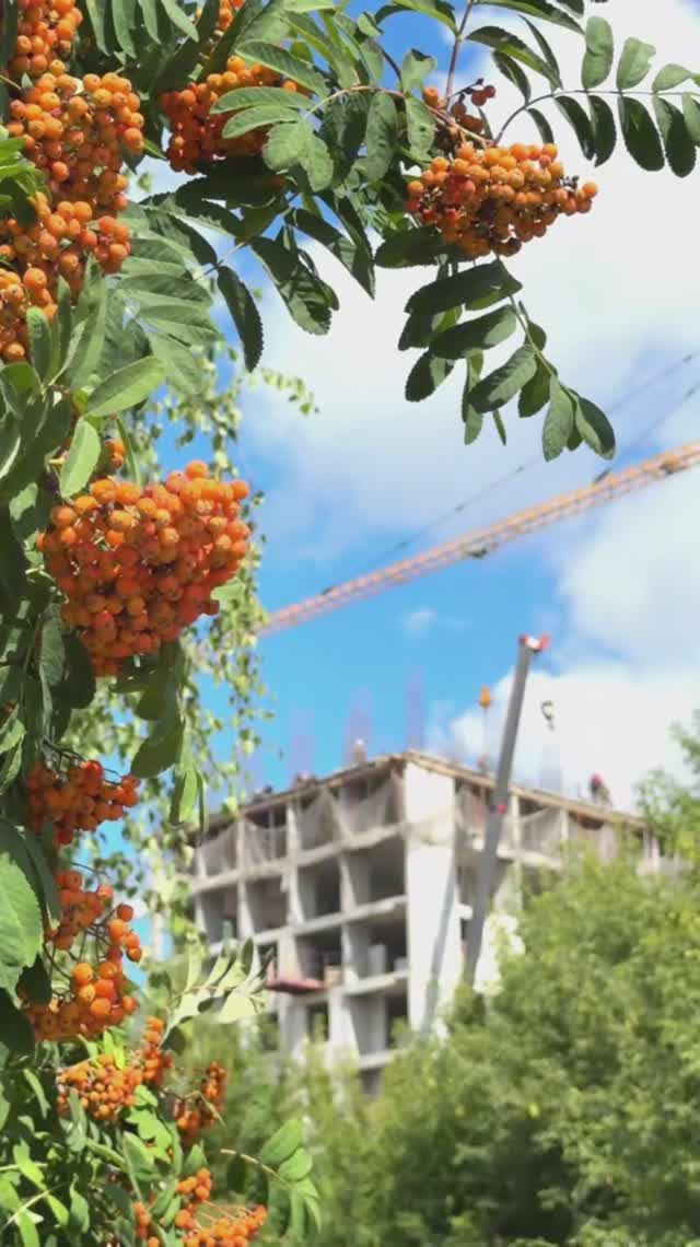 Динамика строительства ЖК Статный, июль 2025 г.