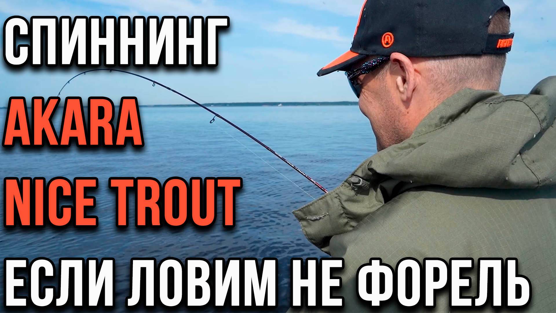 Спиннинг Akara Nice Trout, если ловим не форель.