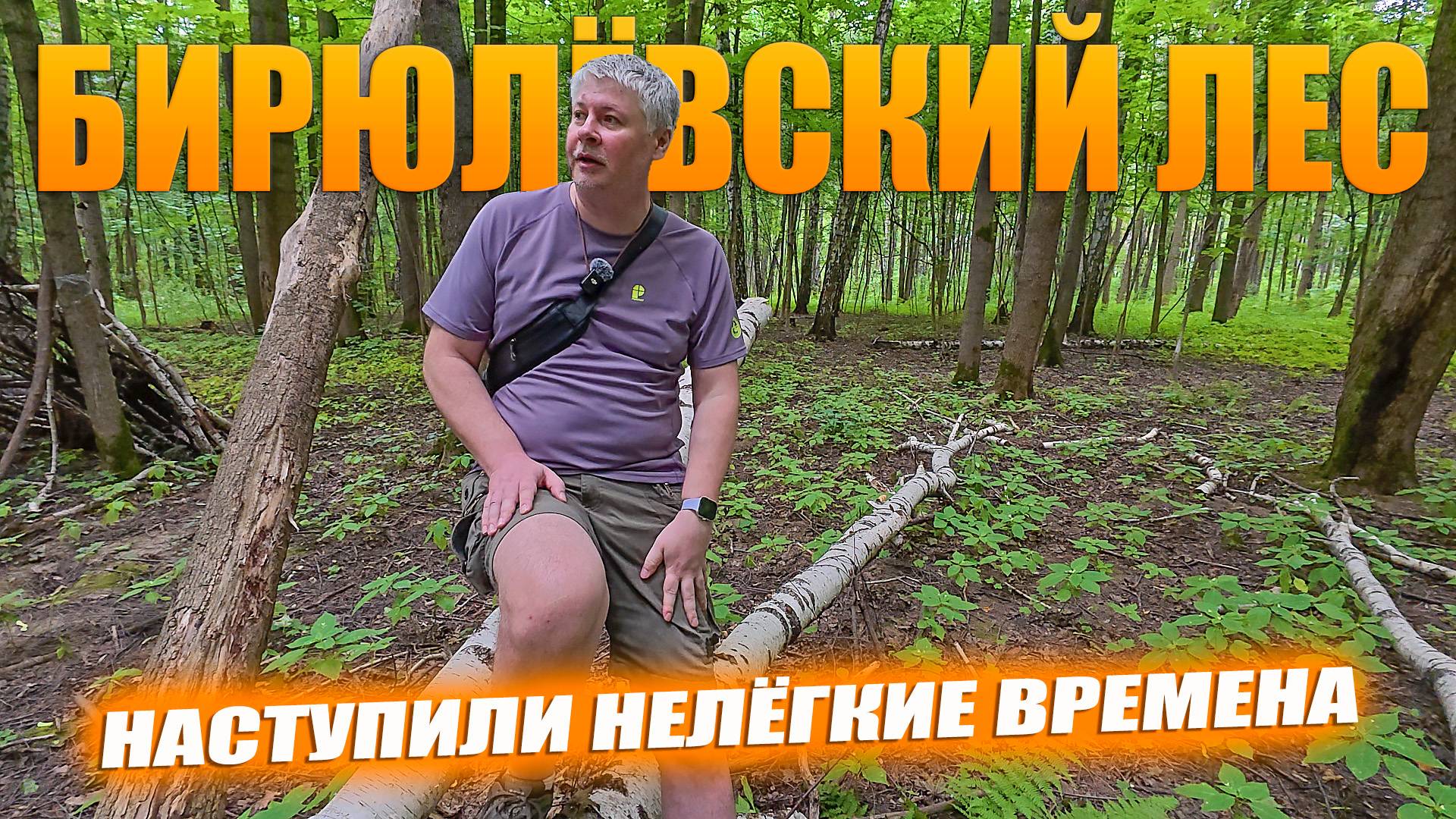 Нелёгкие времена. Это нужно пережить! Антидепрессивная прогулка по лесу.