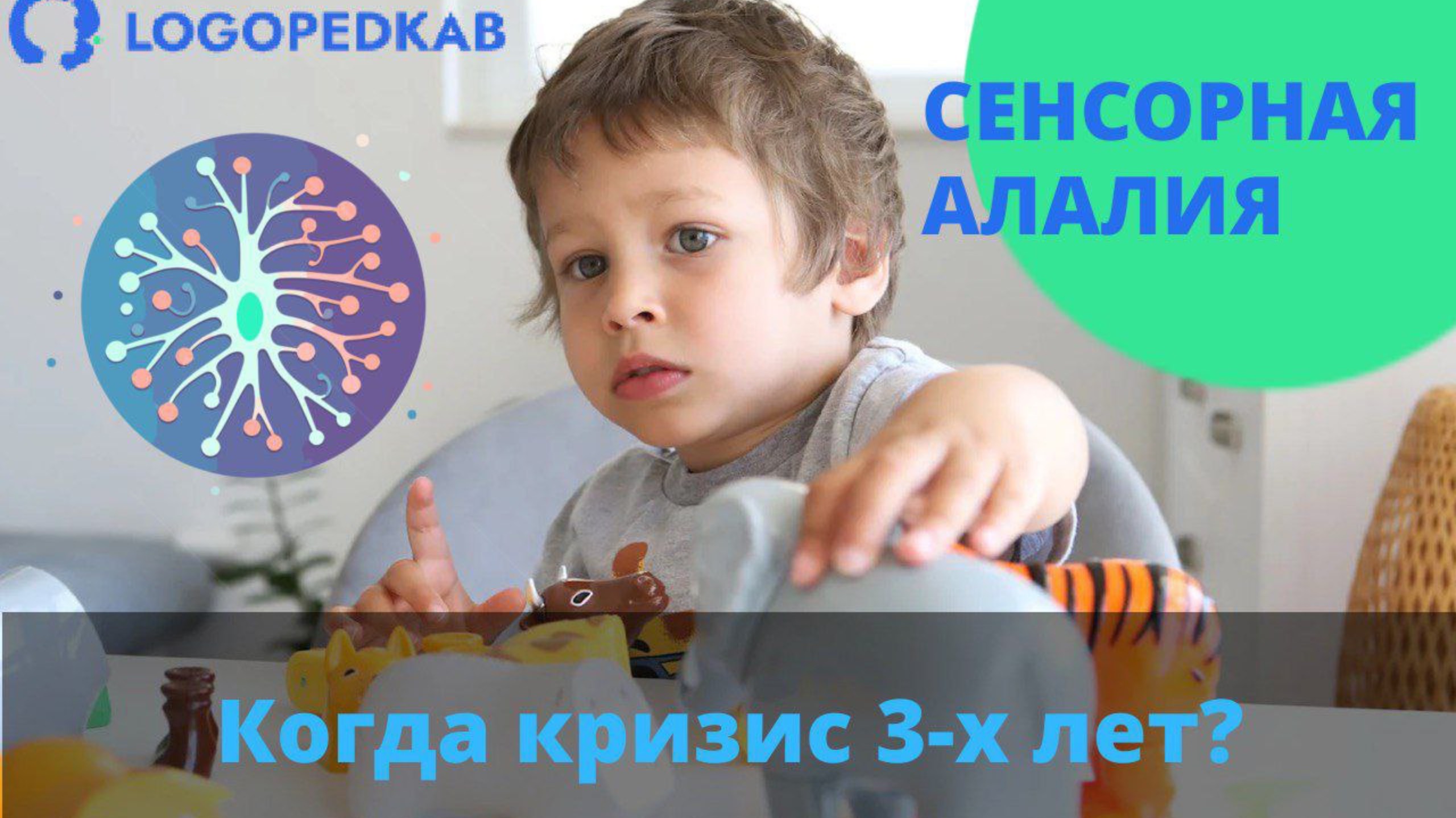 Истерика у ребенка с речевыми нарушениями. Что это такое? И как с этим взаимодействовать?