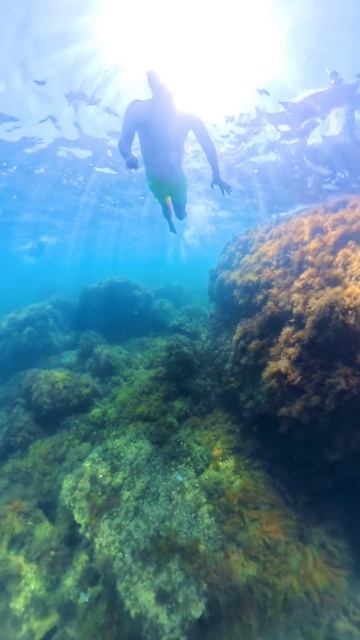 Подводный мир Фороса. Крым