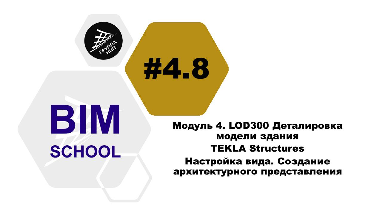 [BIM-SCHOOL 2020] 4.8 TEKLA Structures. Настройка вида. Создание архитектурного представления