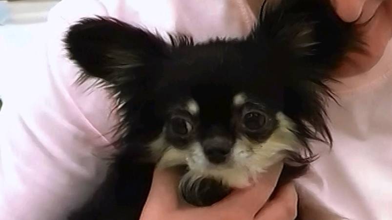 Гостевой день 26 июля 2025г.