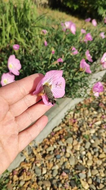 Доброе утро с КУБАНИ 🌞