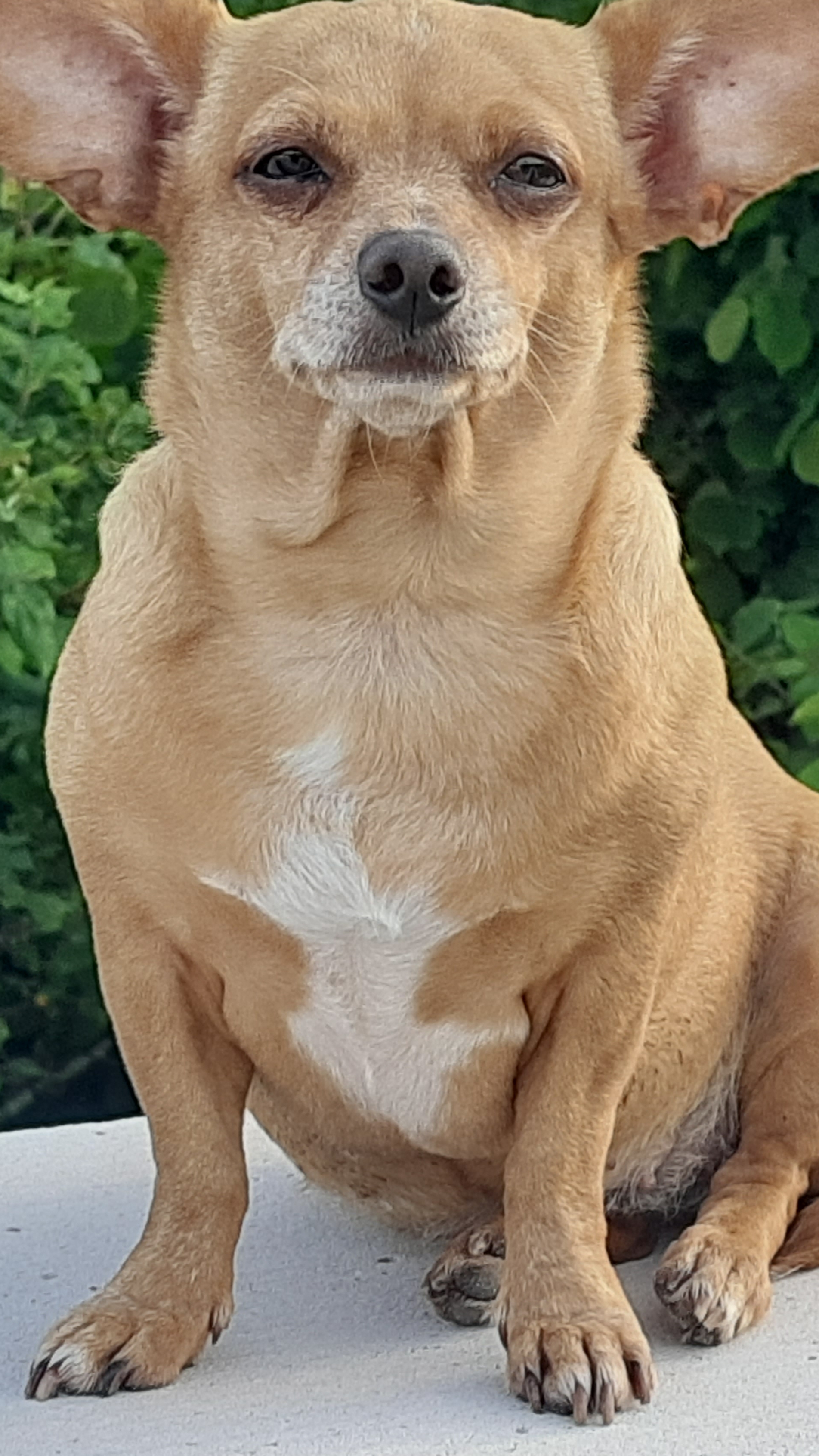 Без названия