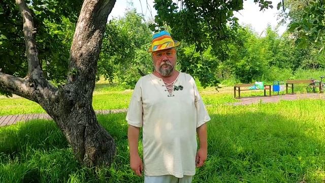 Вальдемар 25. 29 серия. Летят шары по небу