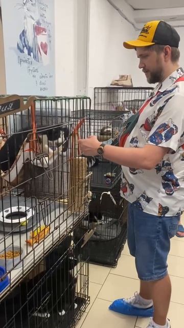 Помогли приюту для животных "Убежище" #помощь #кот #собака #just_svyat  #благо #приют #благоедело