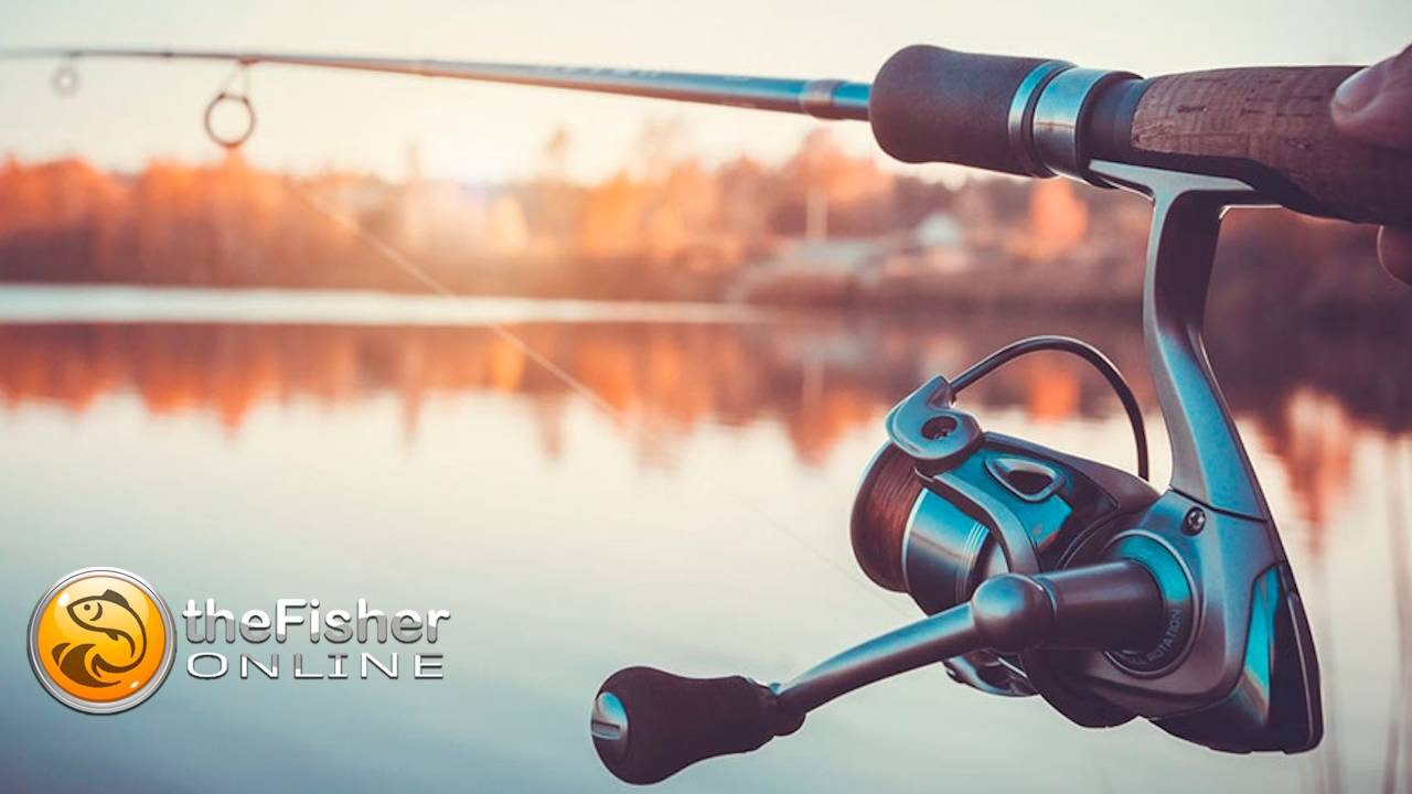 Чей берег, того и рыба | Fisher Online 🦈