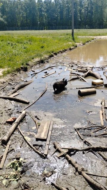 ребята 70-ой широты