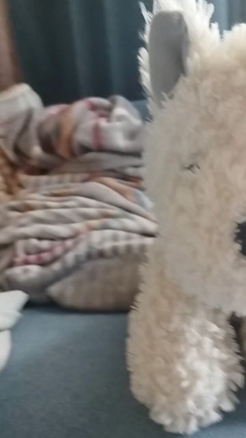 СОБАКА ПО ИМЕНИ ПУХЛЯШ