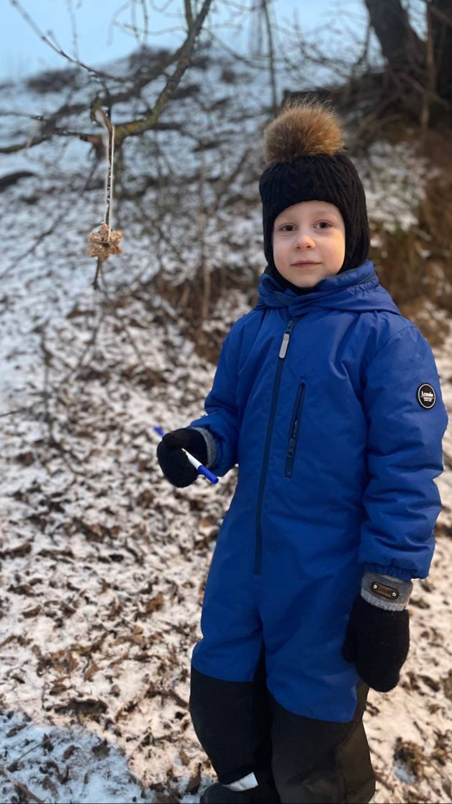 Экологические кормушки