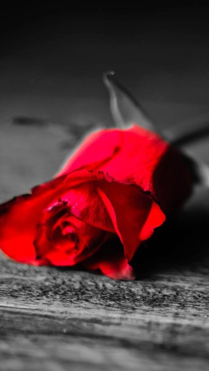 Любовь нечаянно нагрянет.