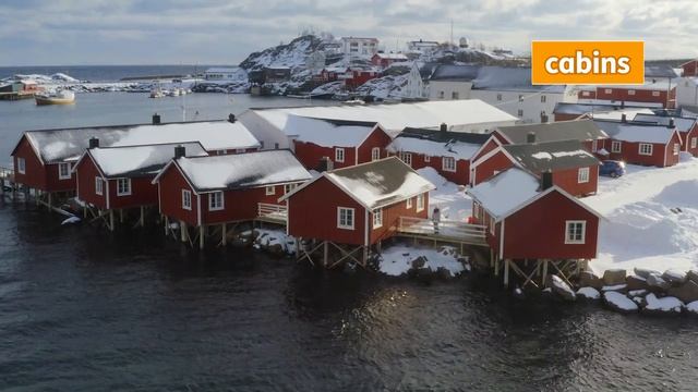 Kids Box  3  Unit 2   CLIL  video