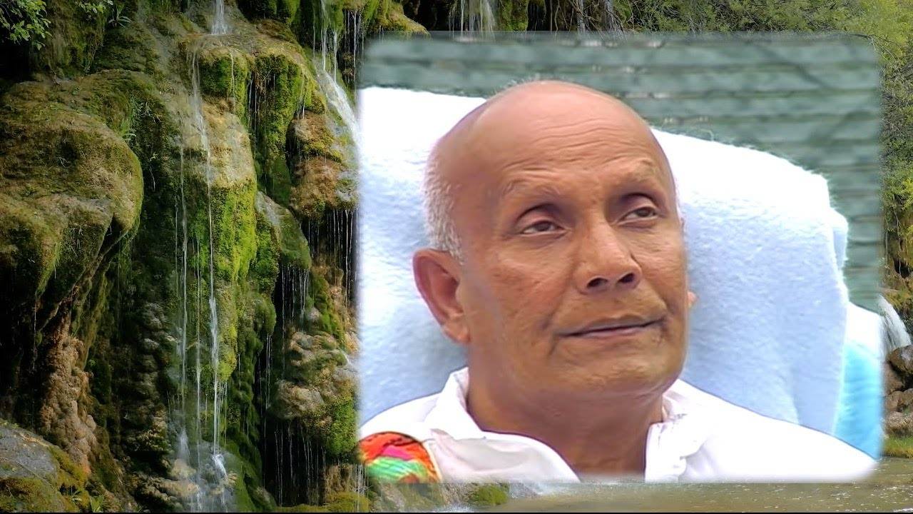 "Шри Чинмой медитирует", том 3. Автор видео Кедар Мисани