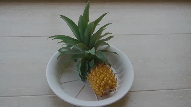 Садим ананасовую корону. Planting Pineapple Crown