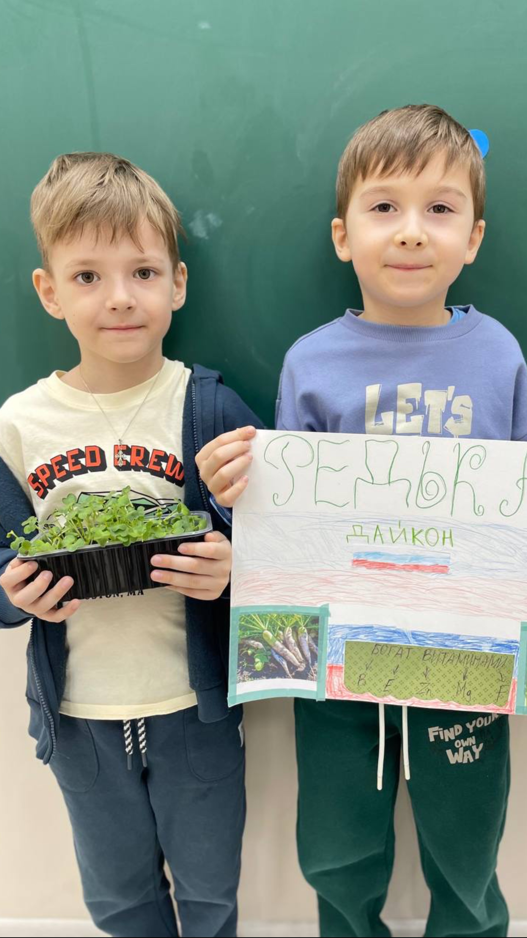 Изучаем растения на занятии по академии наук